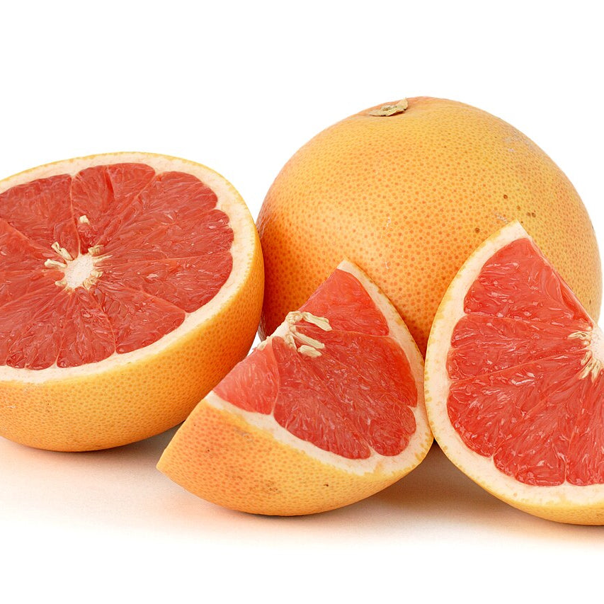 Rio Red Grapefruit Tree (RIO) – Happy Valley Plants
